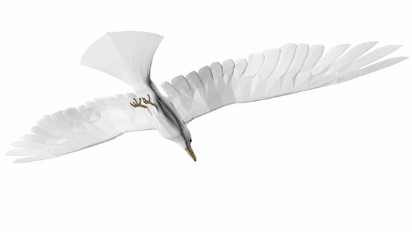 Gull bird model - TurboSquid 1672301