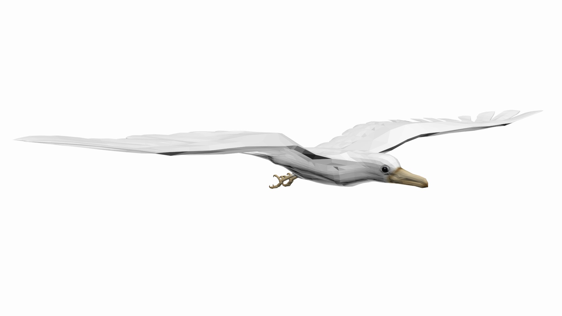 Gull Bird Model - TurboSquid 1672301