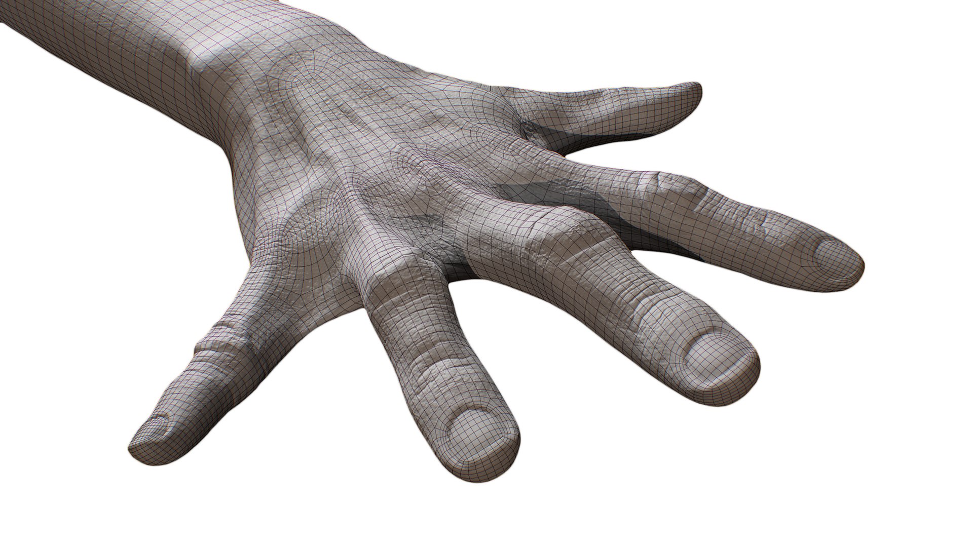 3D Retopologized Hand Scan Sarah Itbehah Model - TurboSquid 1811249