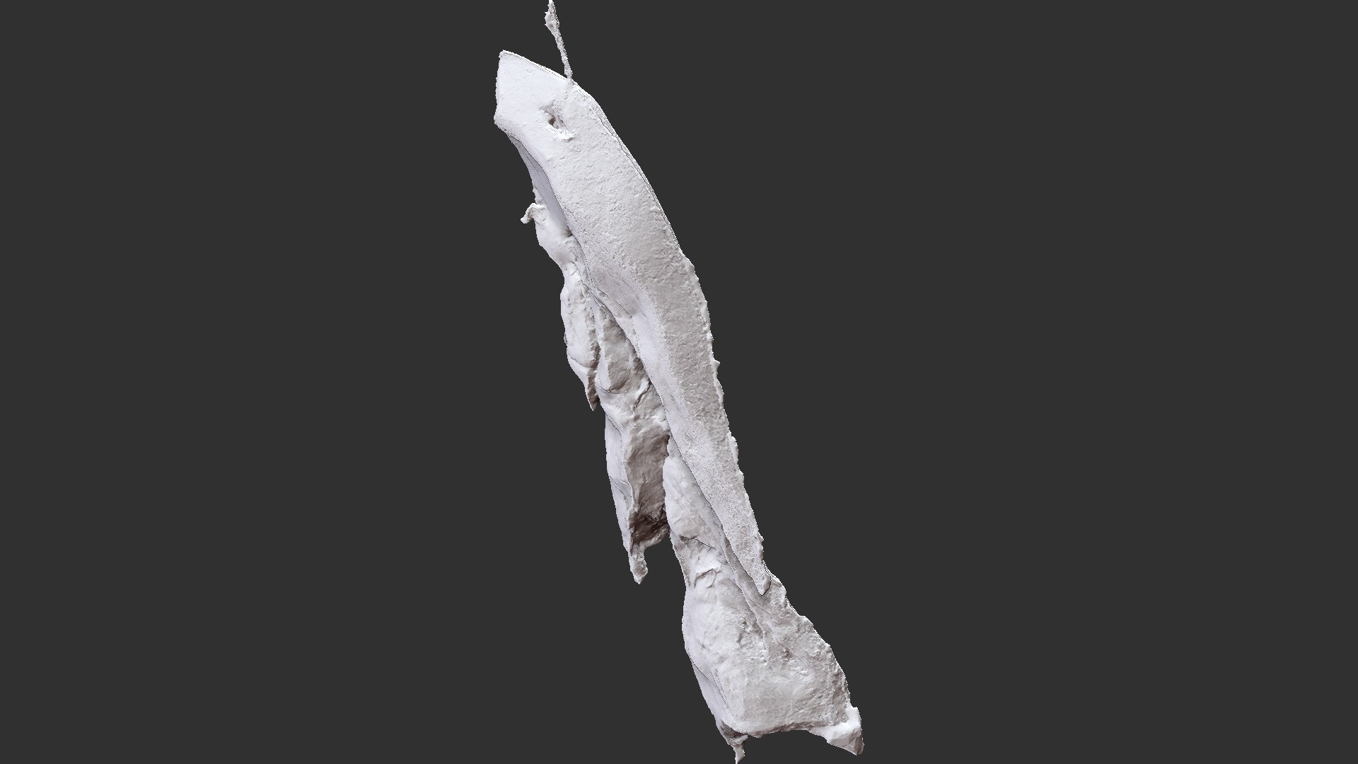 3D Hanging Pork 3d Scan - TurboSquid 2002545