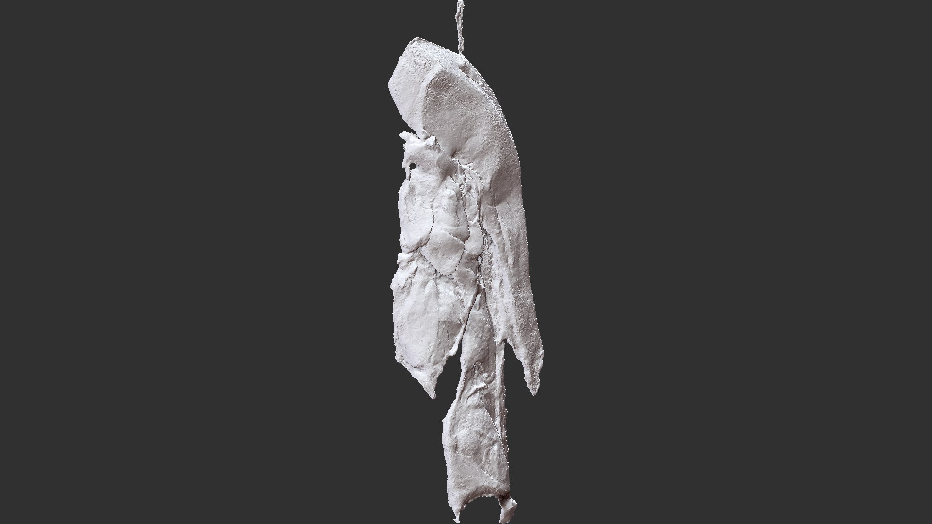 3D Hanging Pork 3d Scan - TurboSquid 2002545