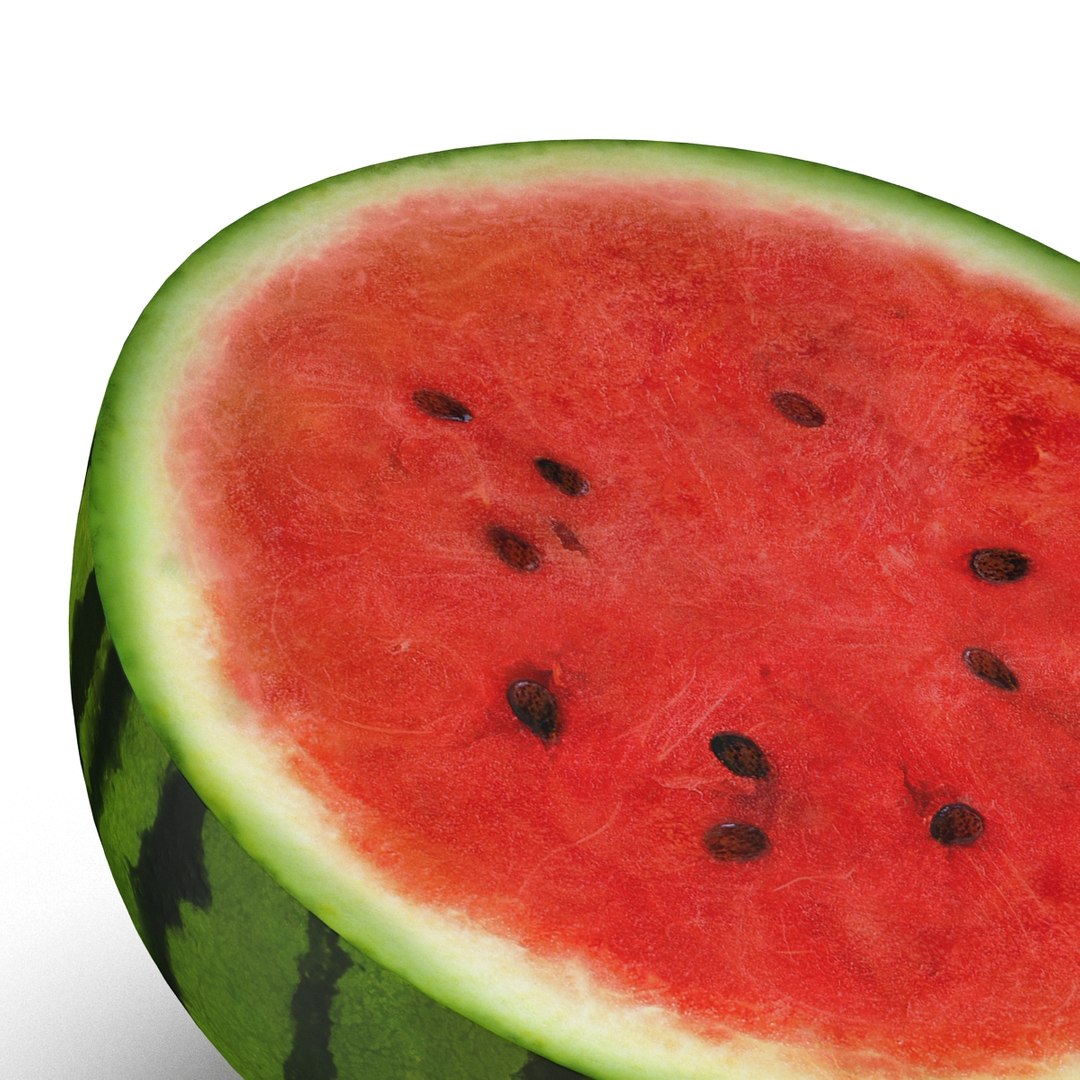 3d Watermelon Cross Section 3