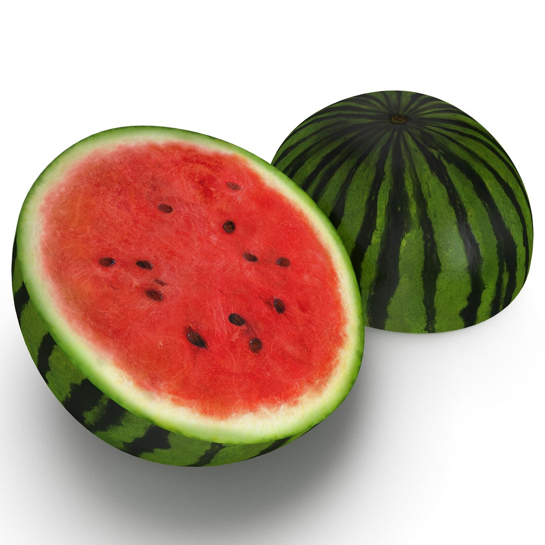 3d watermelon cross section 3