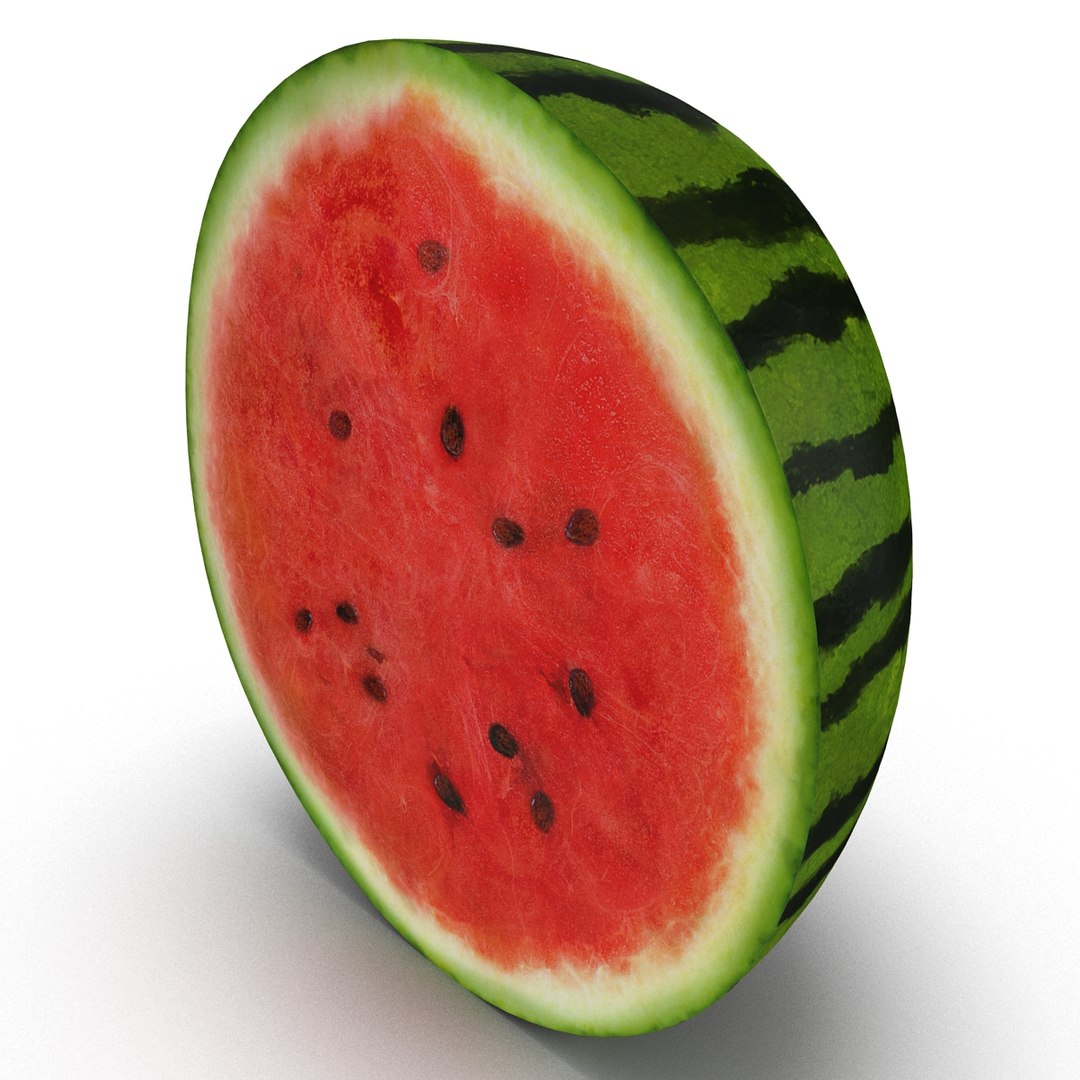 3d Watermelon Cross Section 3