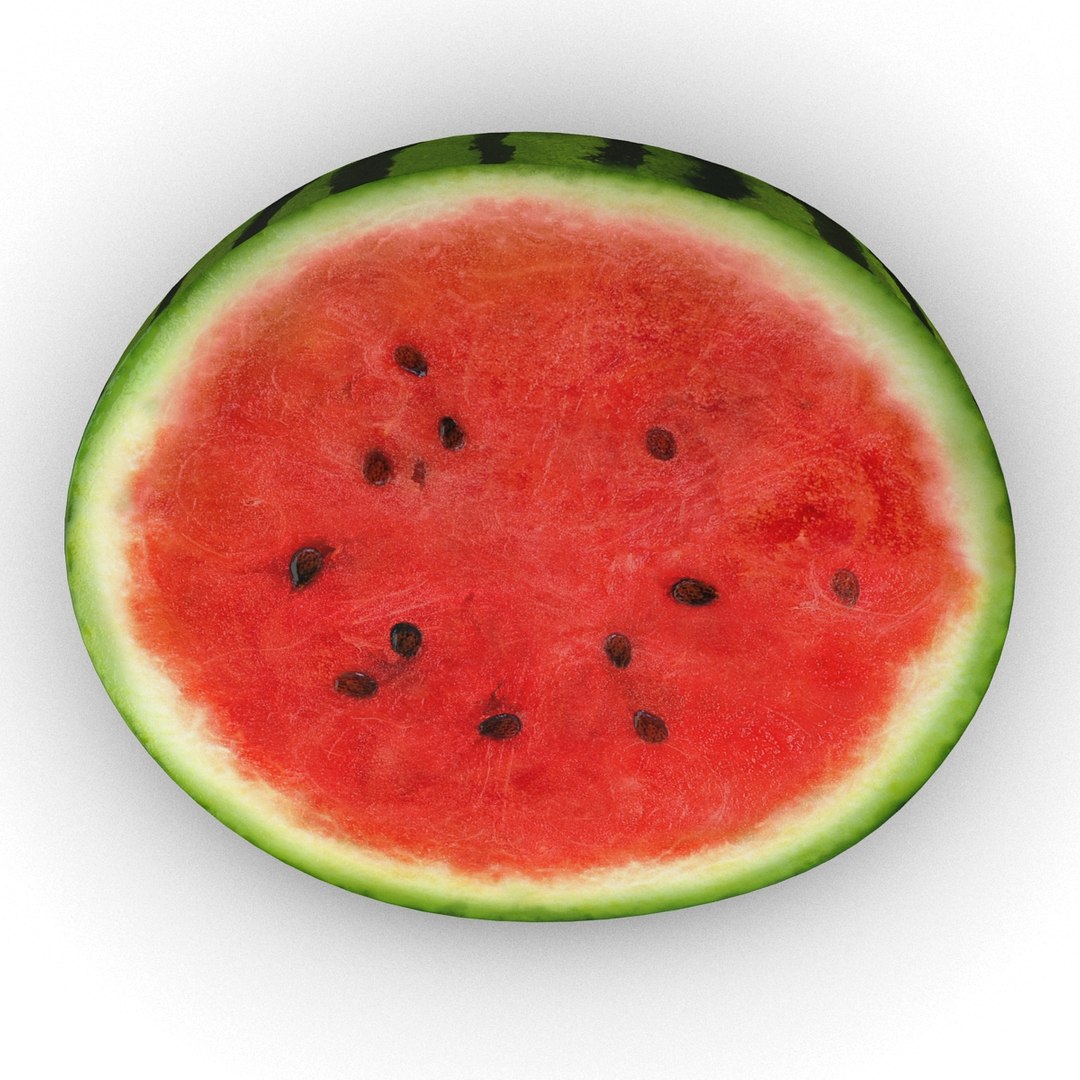 3d Watermelon Cross Section 3