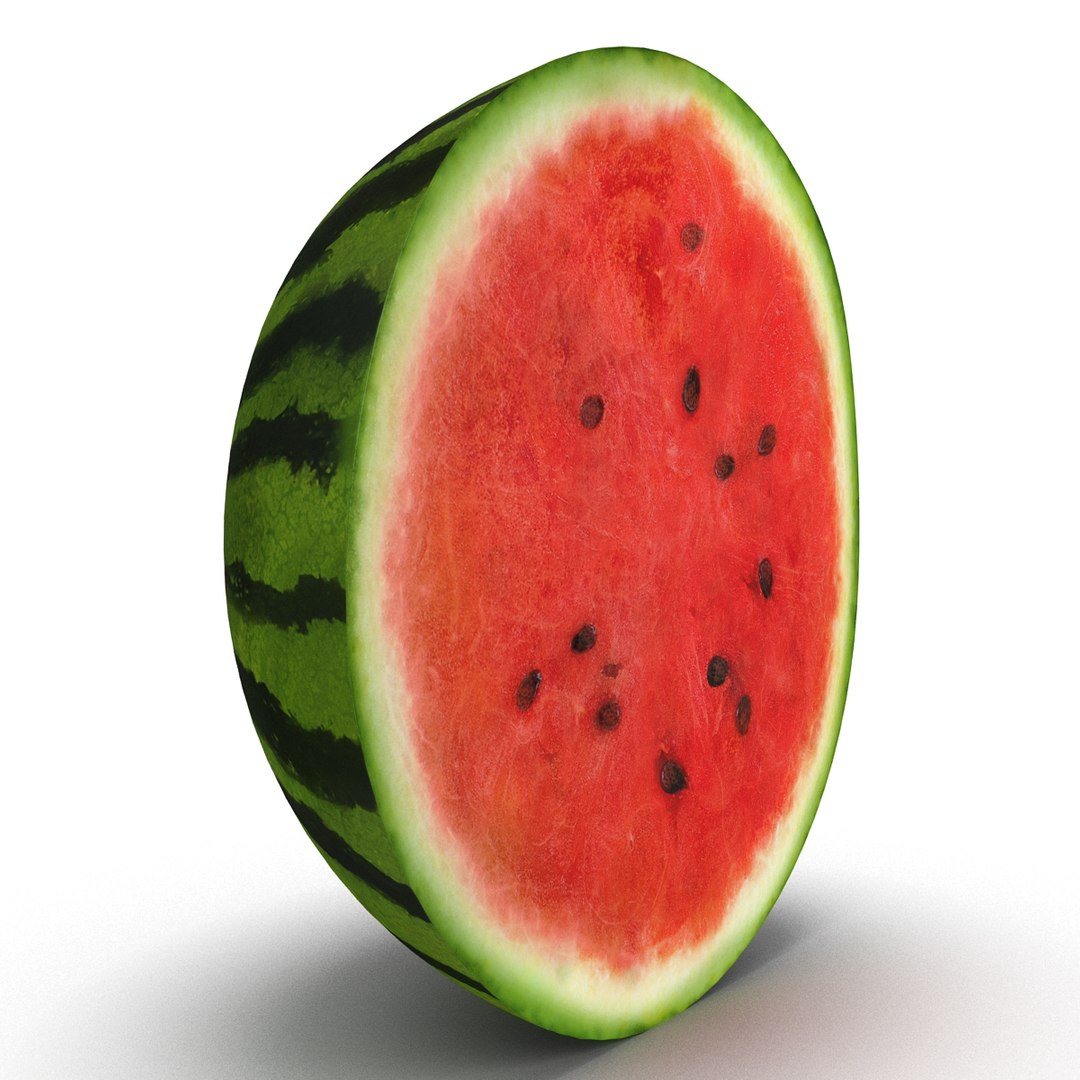 3d Watermelon Cross Section 3