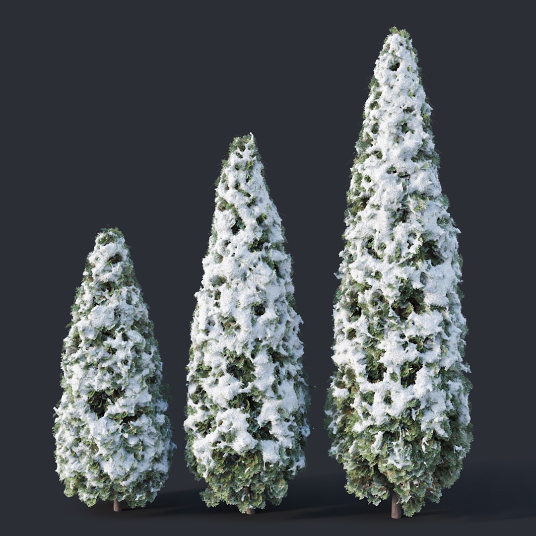 10 Thuyas 3D - TurboSquid 1359252