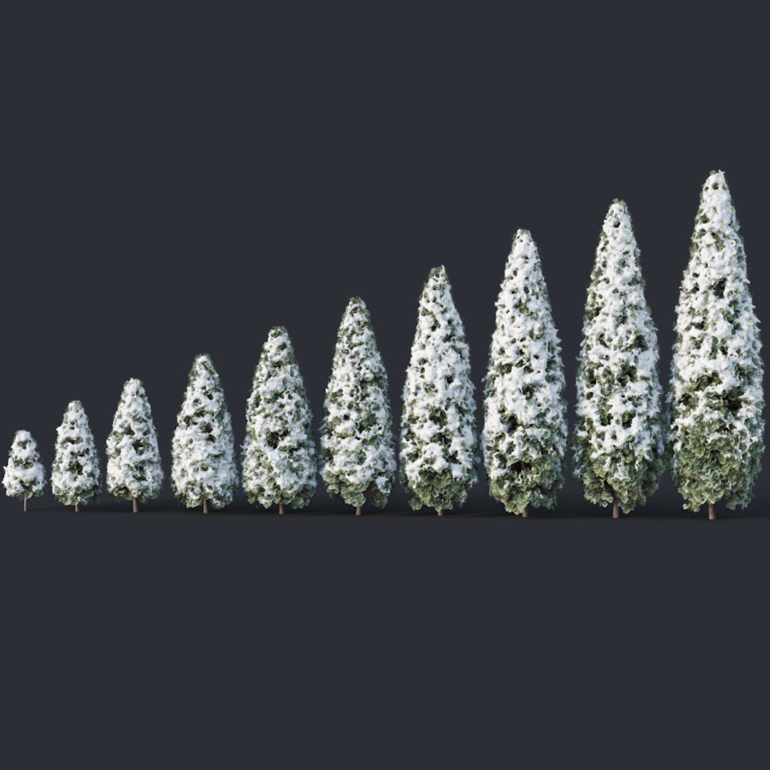 10 Thuyas 3D - TurboSquid 1359252