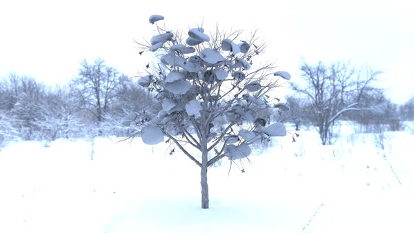3D model jacaranda winter hight - TurboSquid 1619200