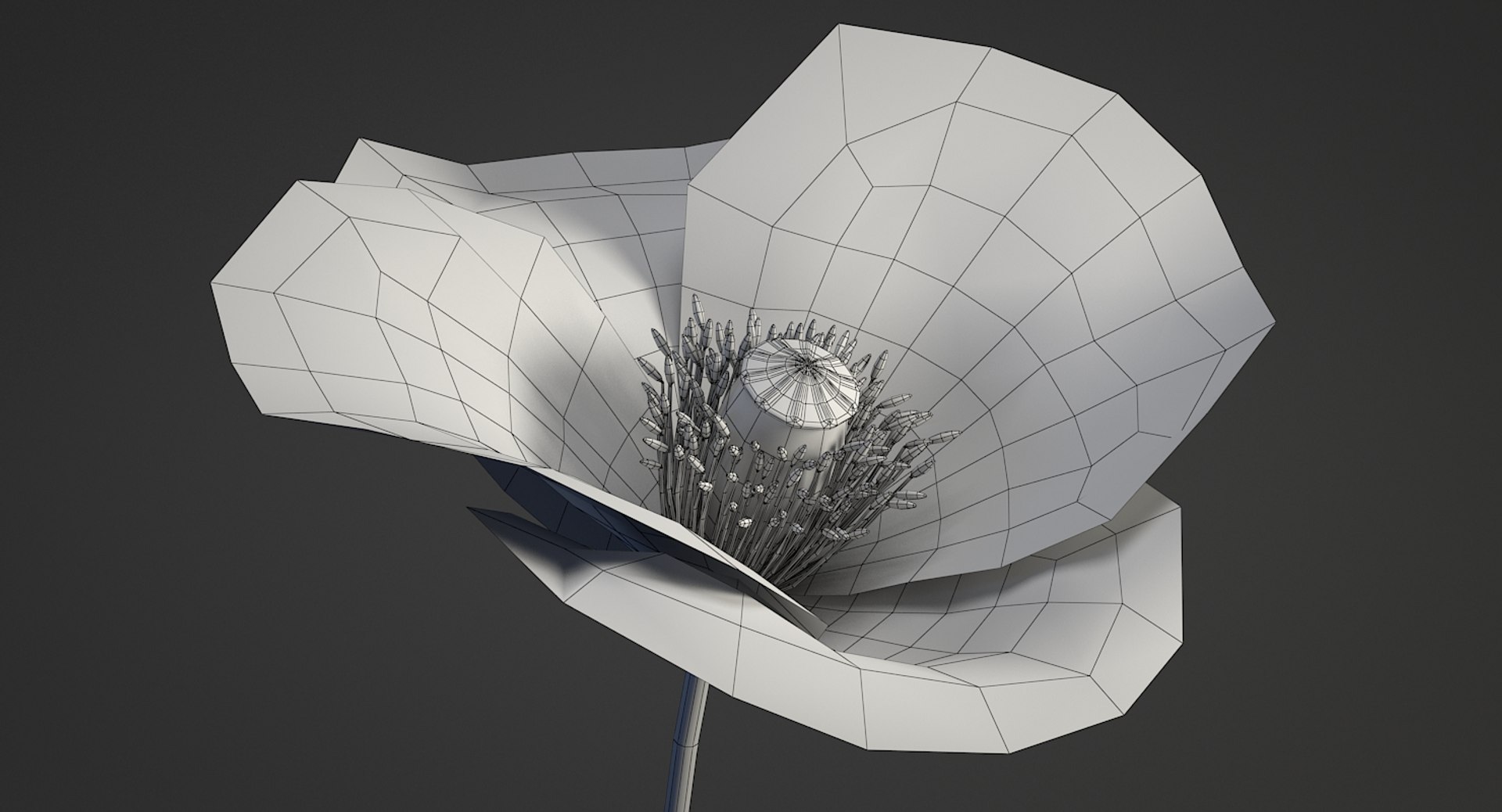 3D realistic poppy flower - TurboSquid 1255335