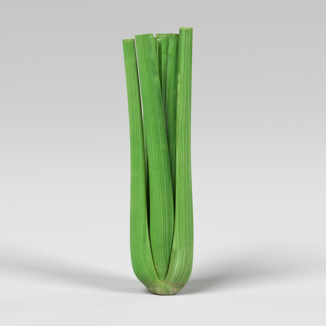 3d Model Celery Apium Graveolens
