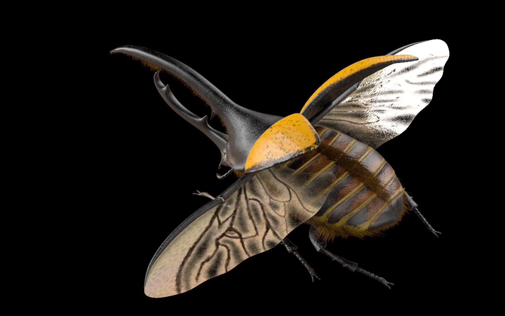 Bee Beetle Hercules 3D - TurboSquid 1537227