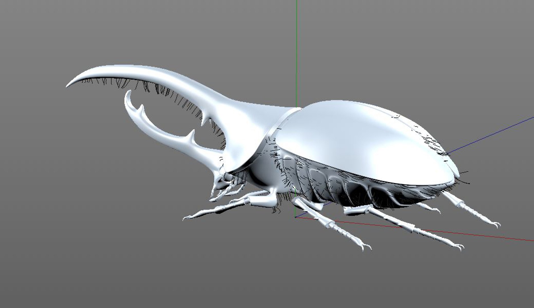 Bee Beetle Hercules 3D - TurboSquid 1537227