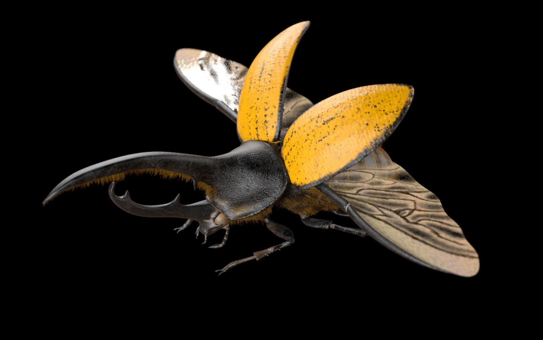 Bee Beetle Hercules 3D - TurboSquid 1537227