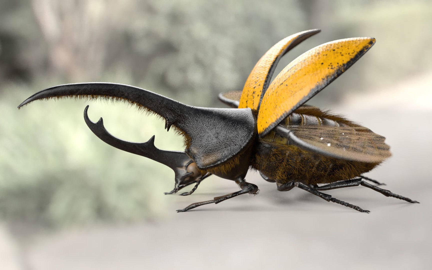 Bee Beetle Hercules 3D - TurboSquid 1537227