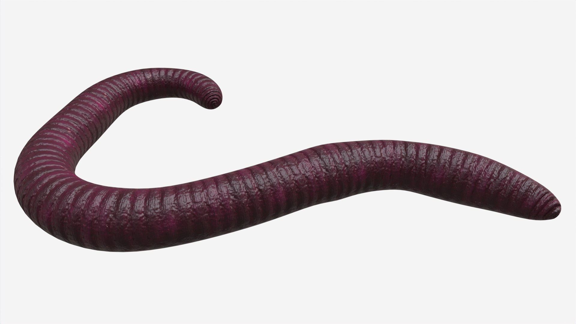 3D Red Worm 02 - TurboSquid 1934378
