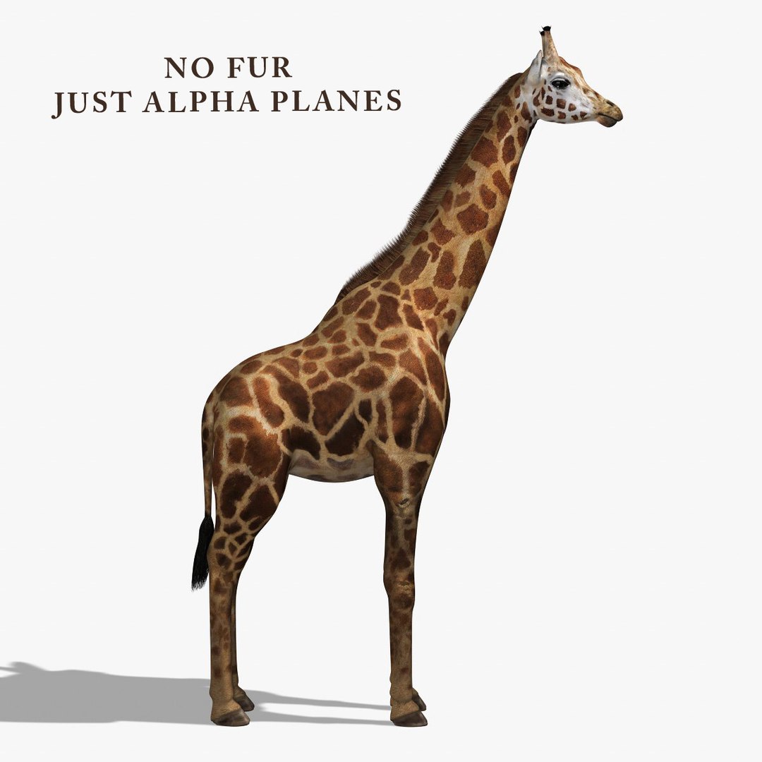 Photorealistic Giraffe Fur 3d Obj