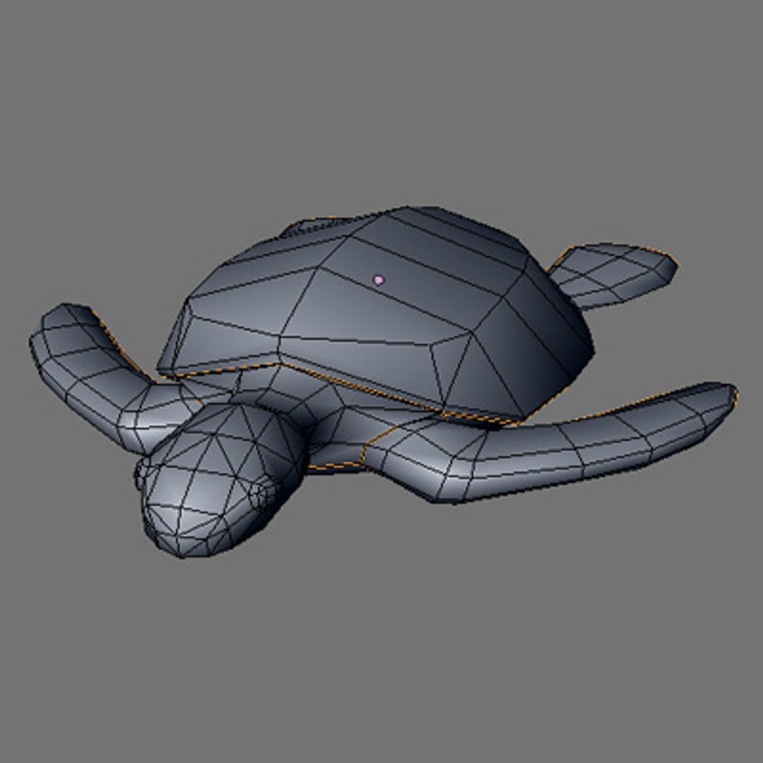 maya green sea turtle