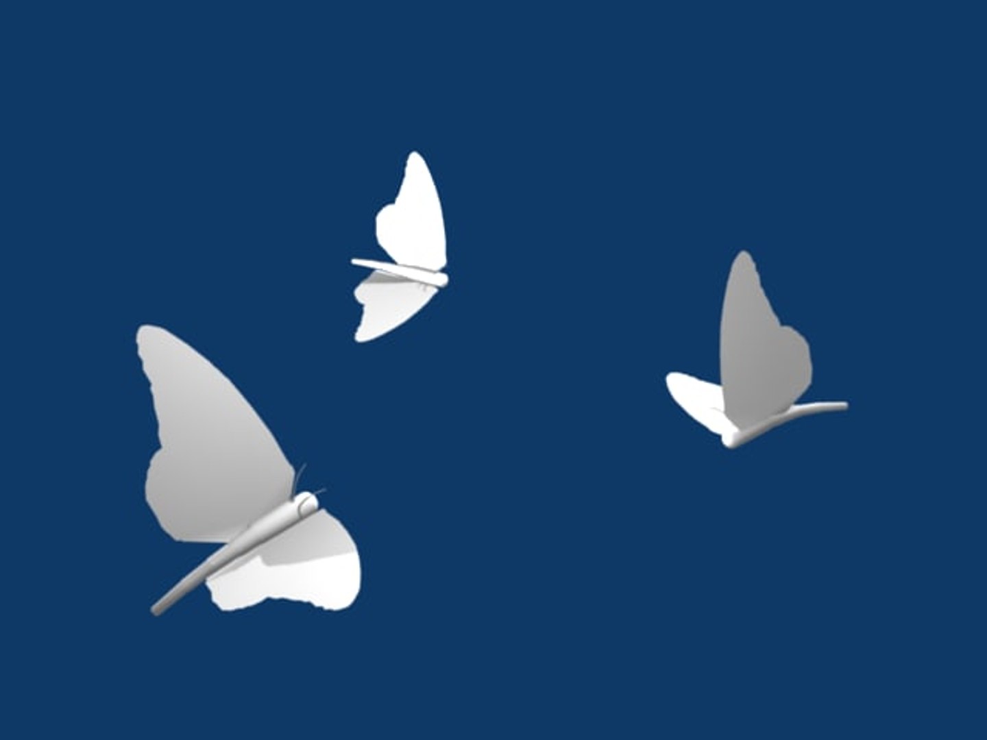Maya Butterfly Moth