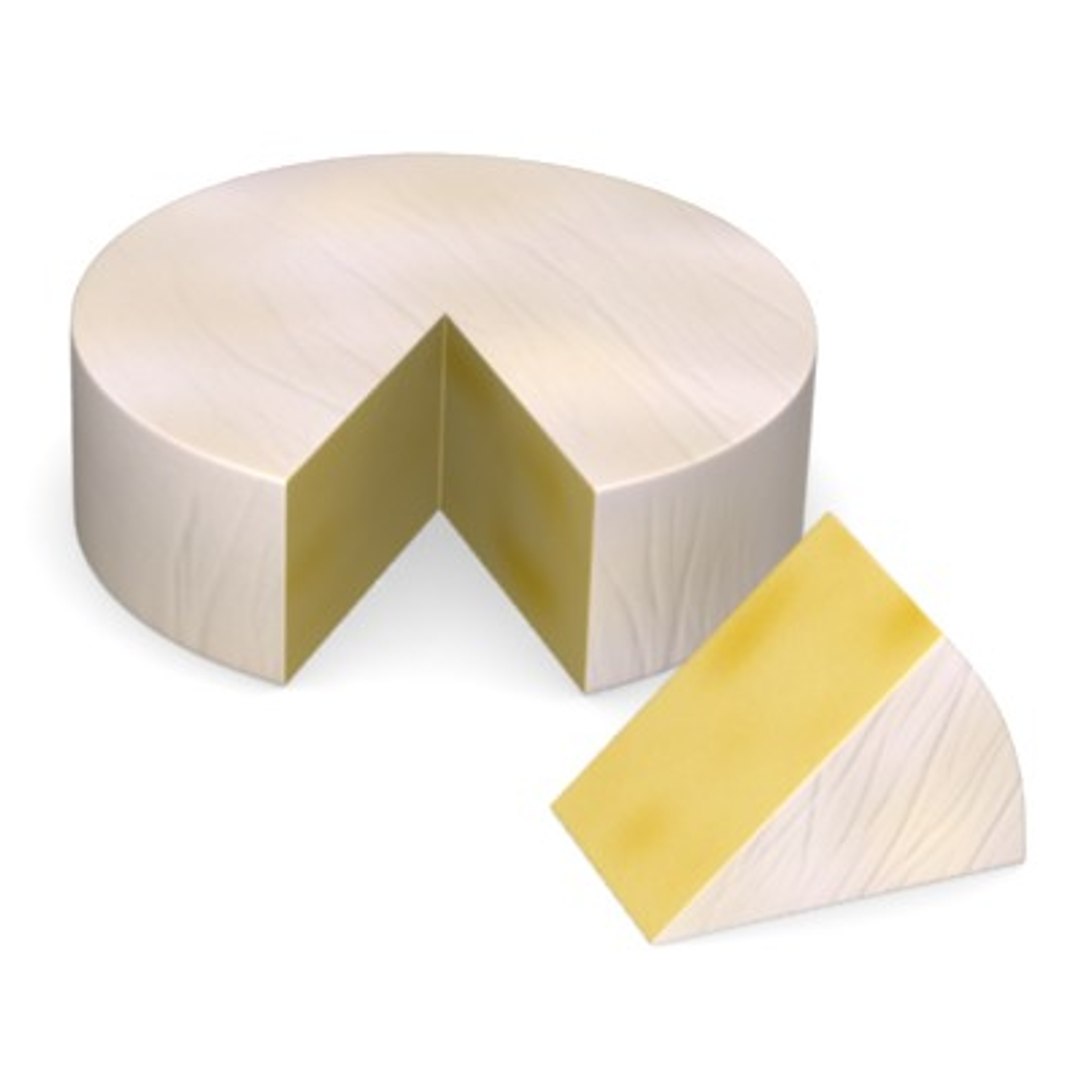 3d Cheese Model
