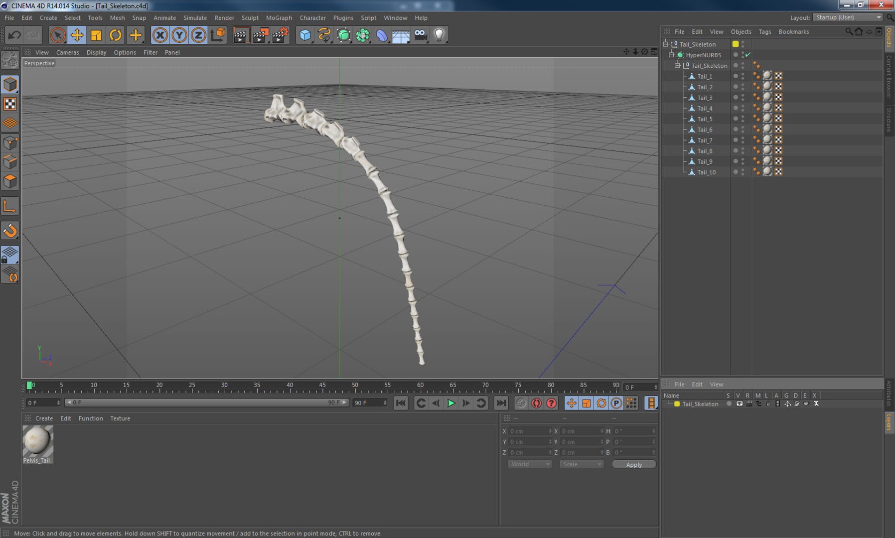 Tail Skeleton 3D Model - TurboSquid 1336293