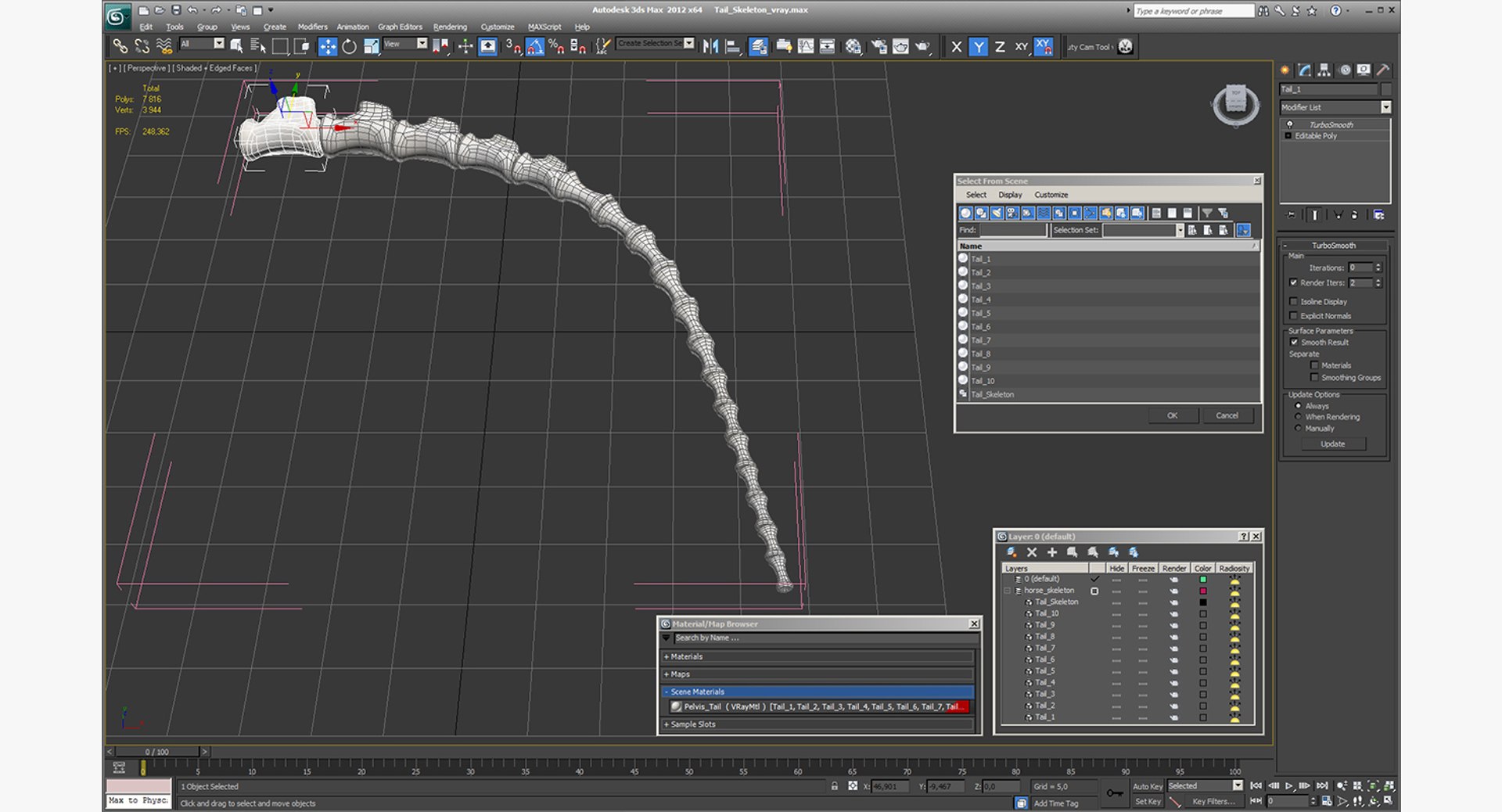 Tail Skeleton 3D Model - TurboSquid 1336293