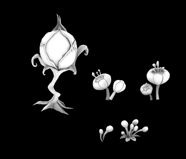3D yunmengze - strange plants - TurboSquid 1449658