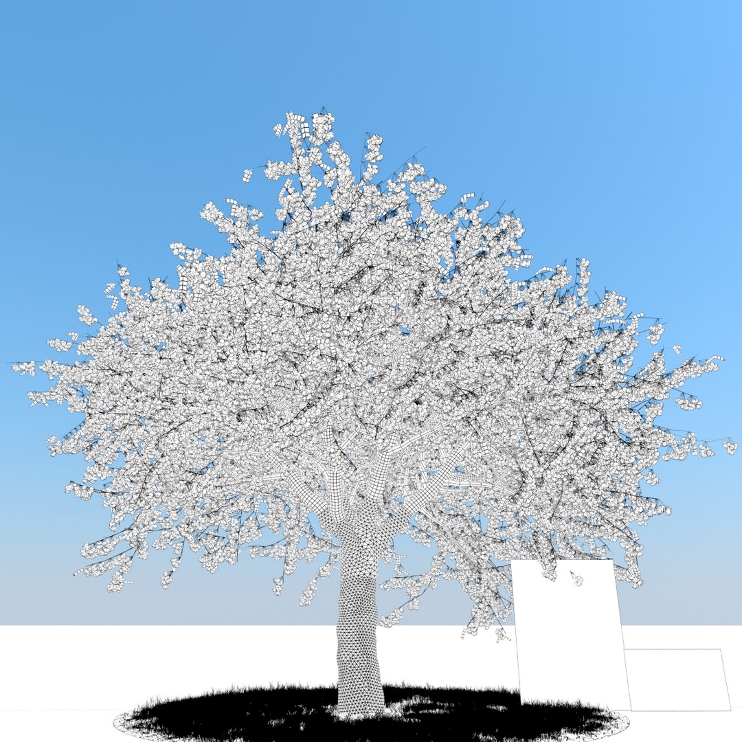 Max Realistic Cherry Tree