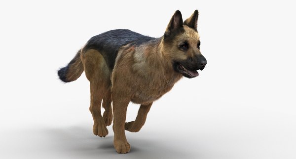german shepherd fur animations 3d model