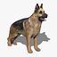 German Shepherd Fur Animations 3d Model