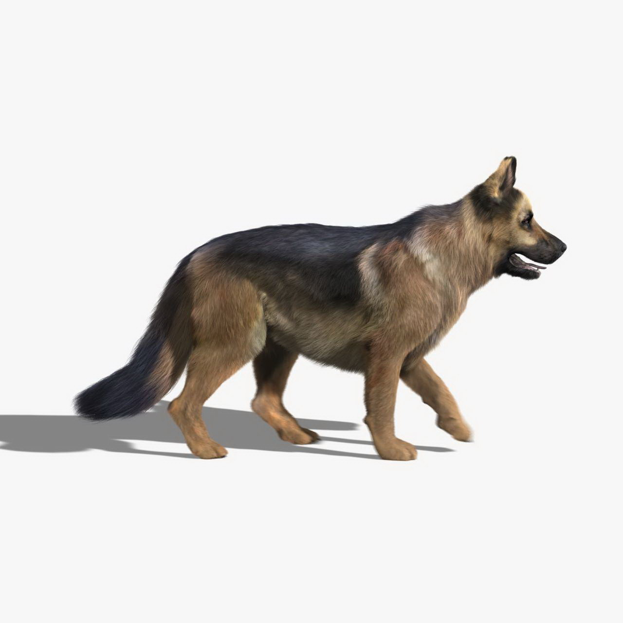 german shepherd fur animations 3d model