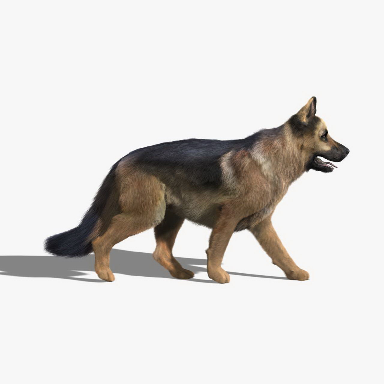 german shepherd fur animations 3d model