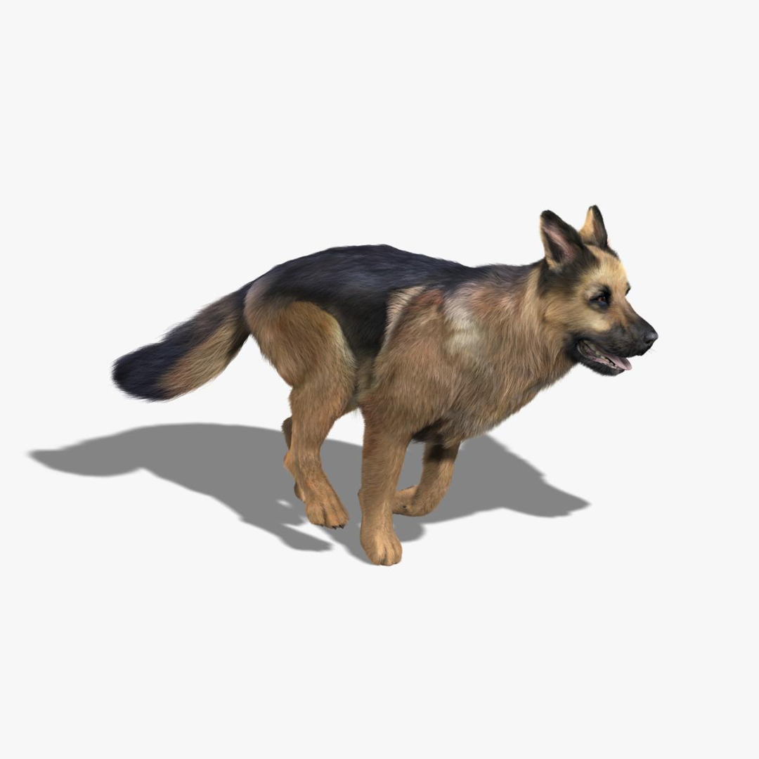 German Shepherd Fur Animations 3d Model