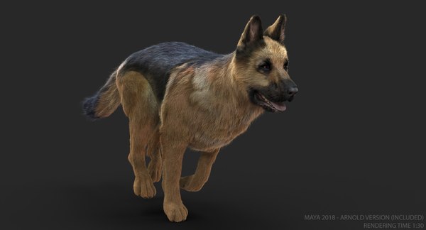 german shepherd fur animations 3d model