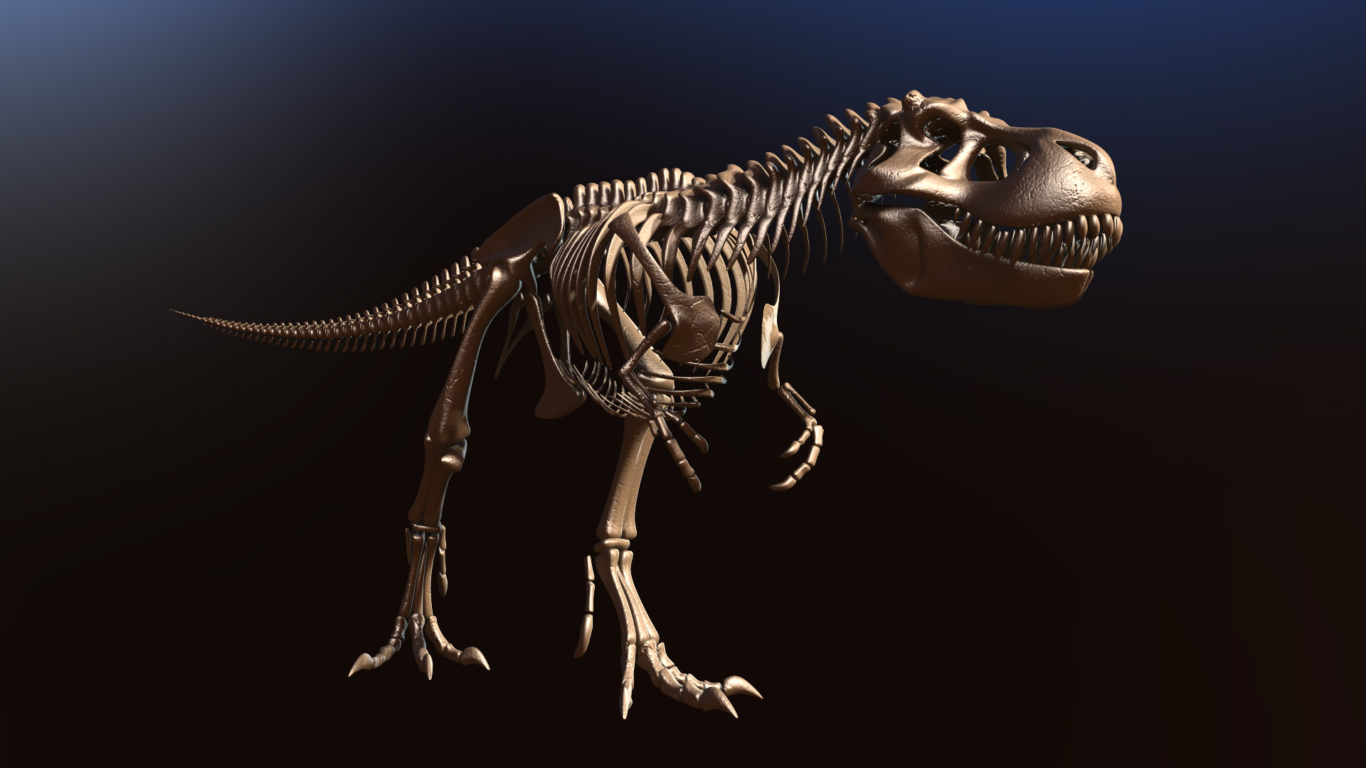 T.rex Skeleton Walk Cycle动画（Rigged）3D模型 - TurboSquid 1116106