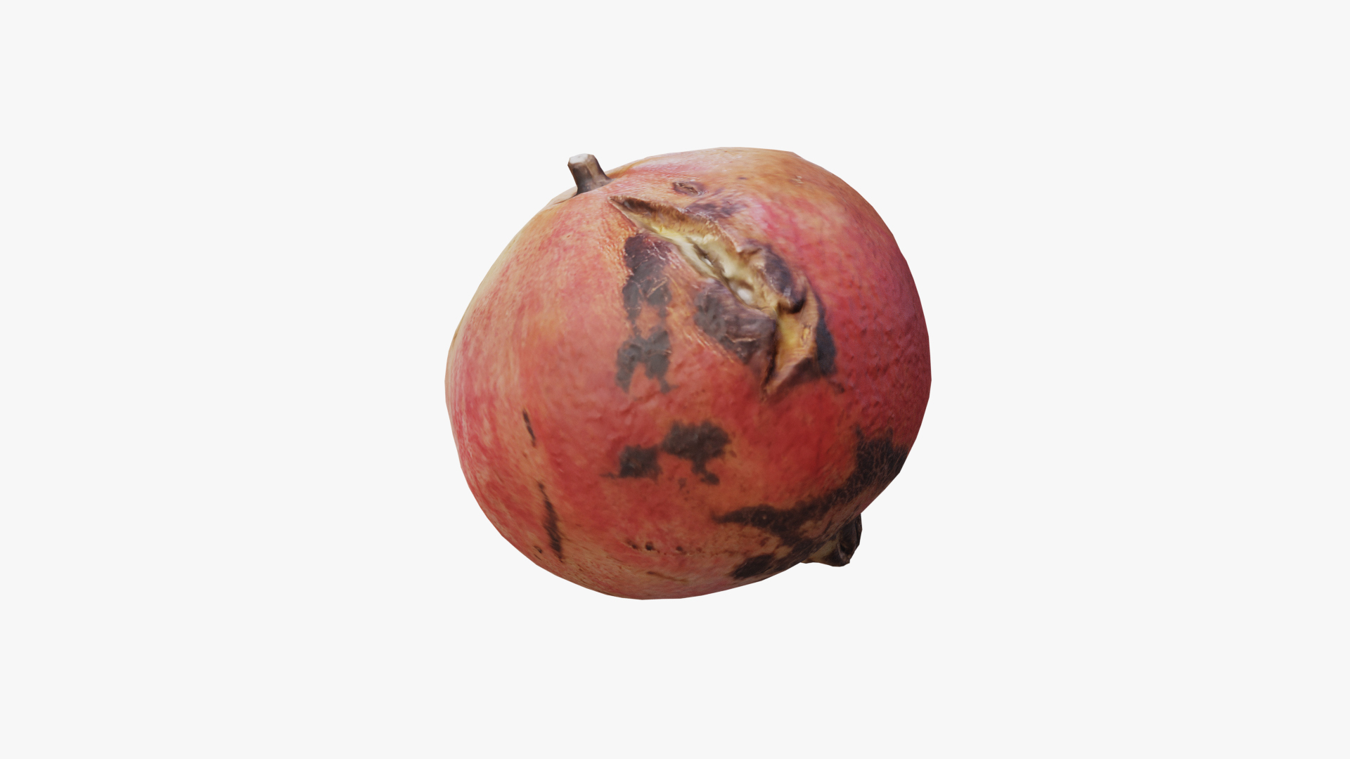 Free Pomegranate Scan 3D Model - TurboSquid 2138554