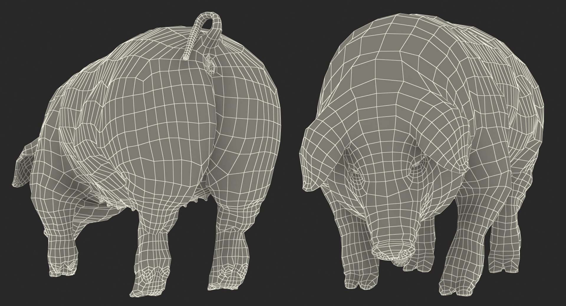 Pig Sow 3D Model - TurboSquid 1355639