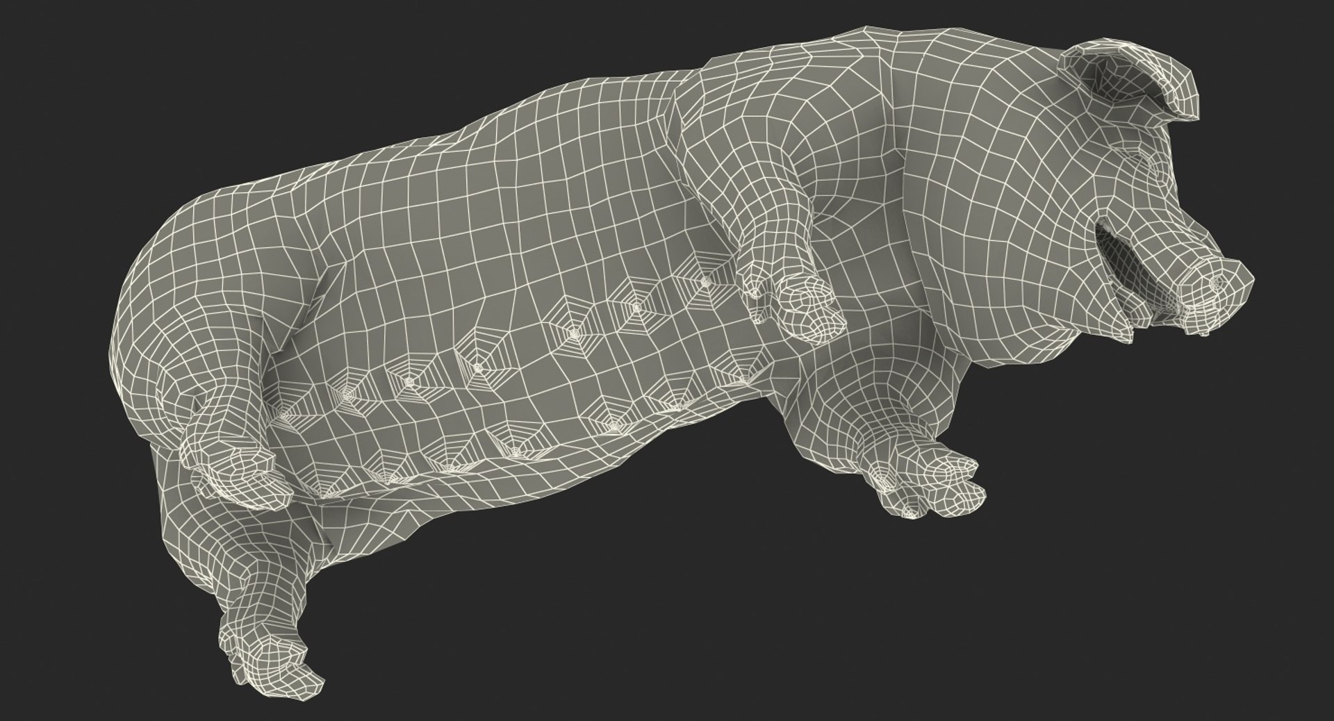 Pig Sow 3D Model - TurboSquid 1355639