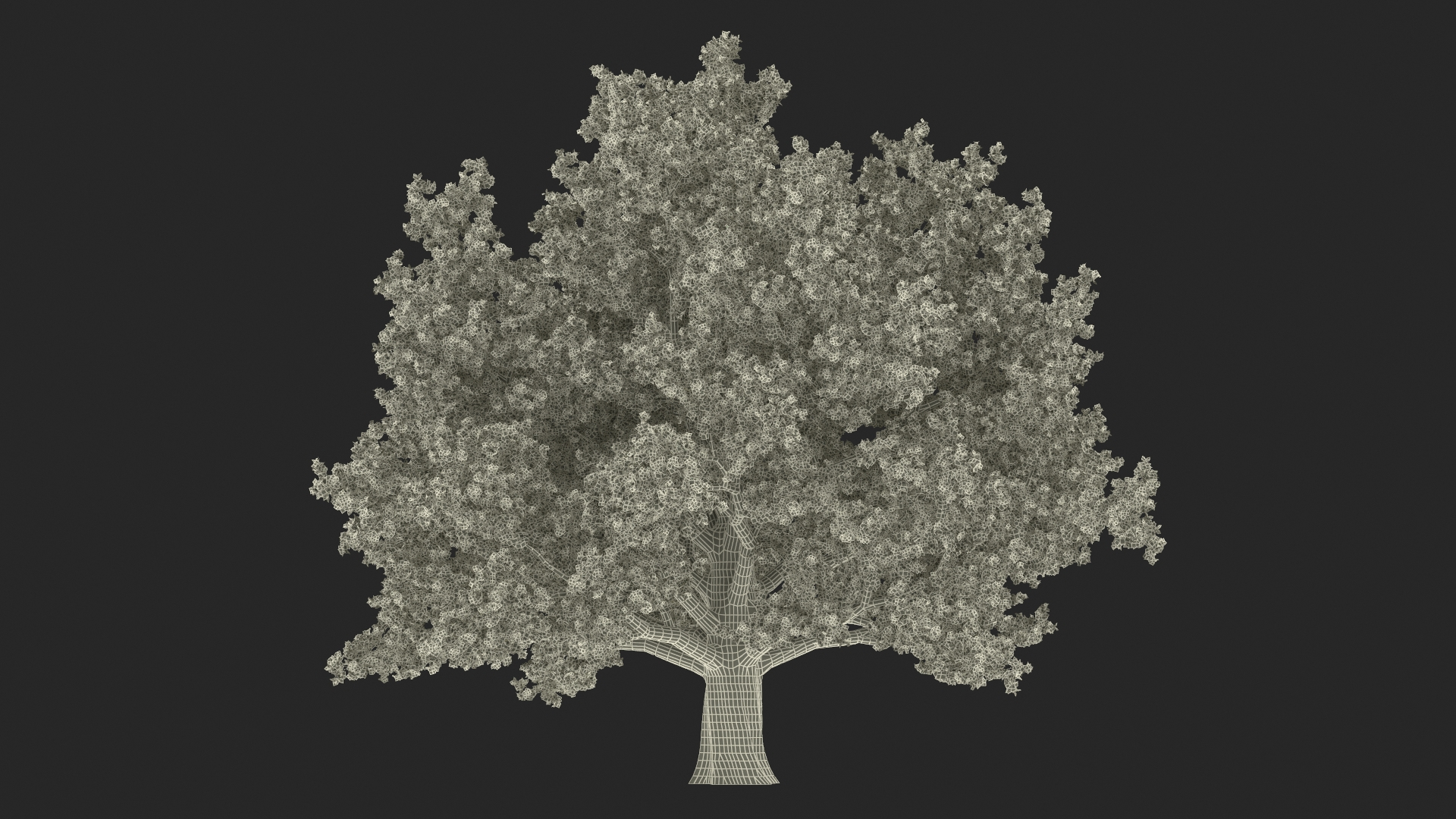 Realistic Oak Tree 3D Model - TurboSquid 2329773