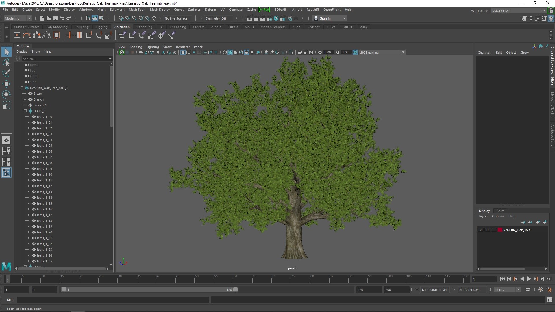 Realistic Oak Tree 3D Model - TurboSquid 2329773