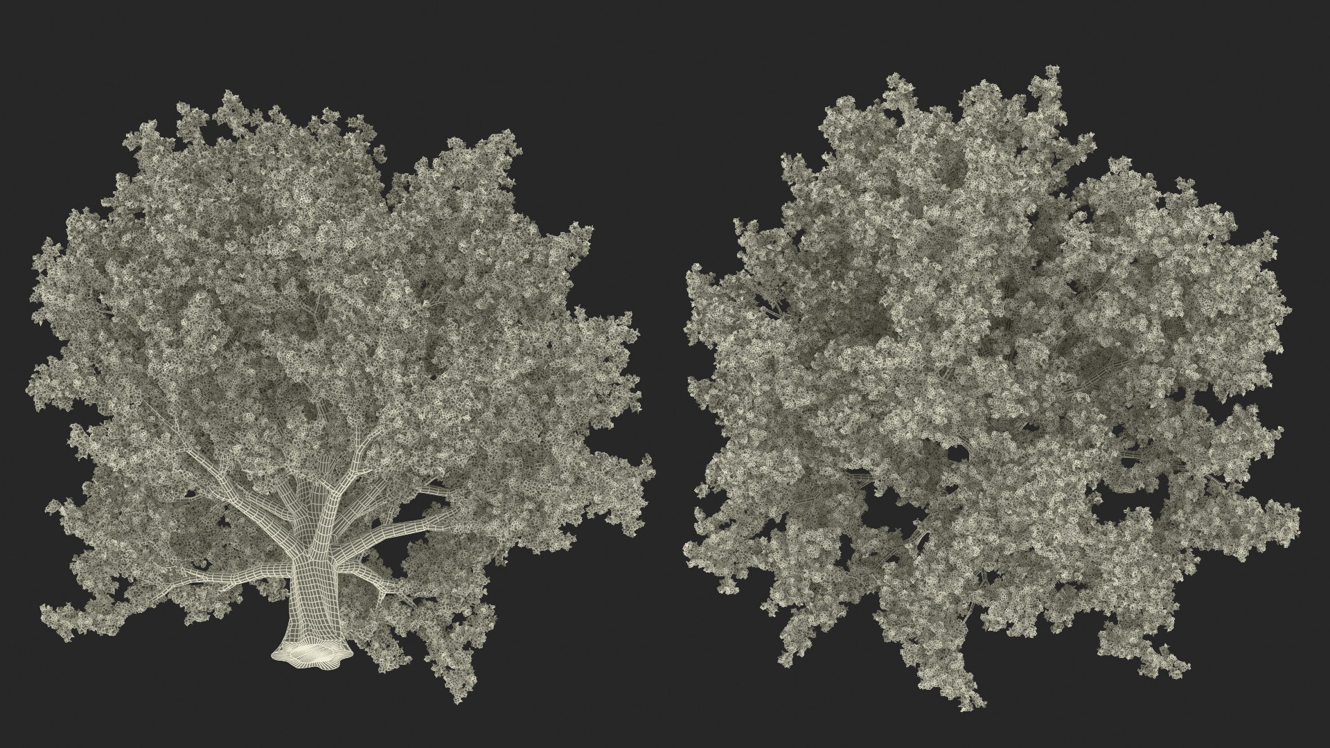 Realistic Oak Tree 3D Model - TurboSquid 2329773