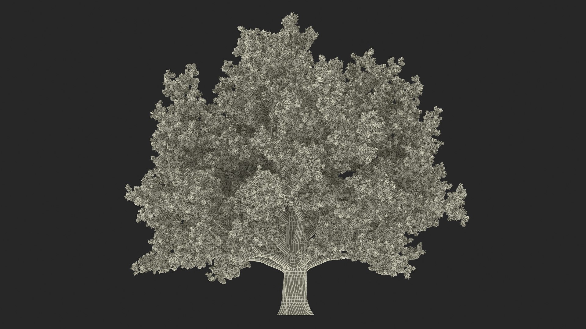 Realistic Oak Tree 3D Model - TurboSquid 2329773