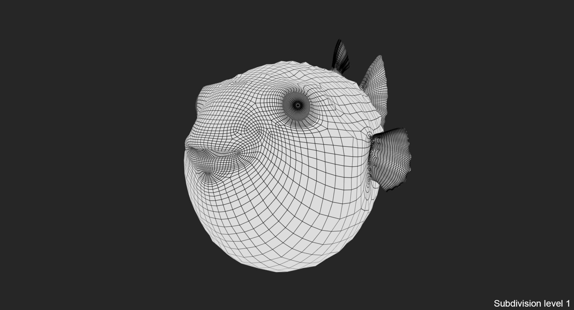 Puffer fish 3D model - TurboSquid 1312577