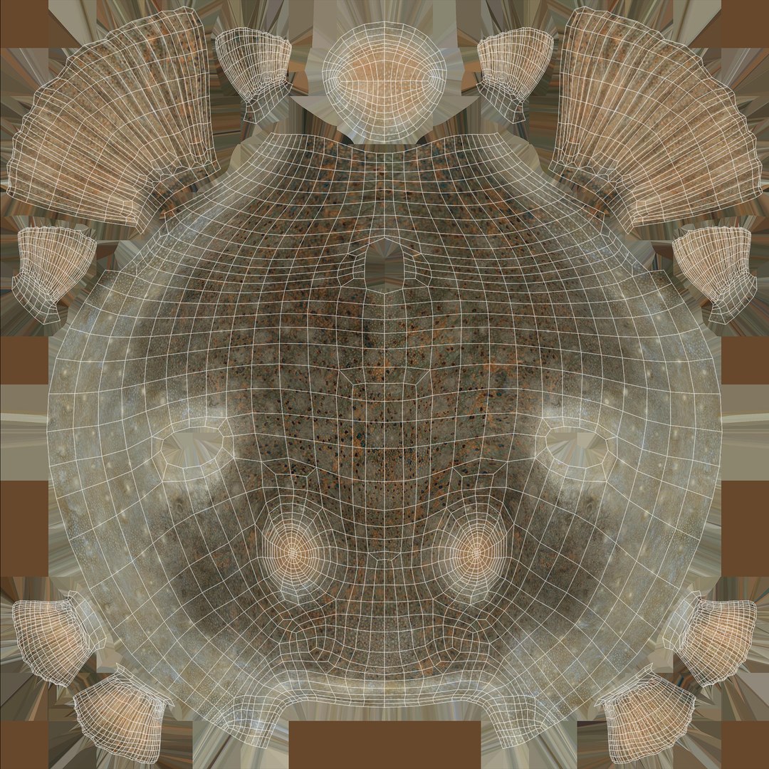 Puffer Fish 3D Model - TurboSquid 1312577