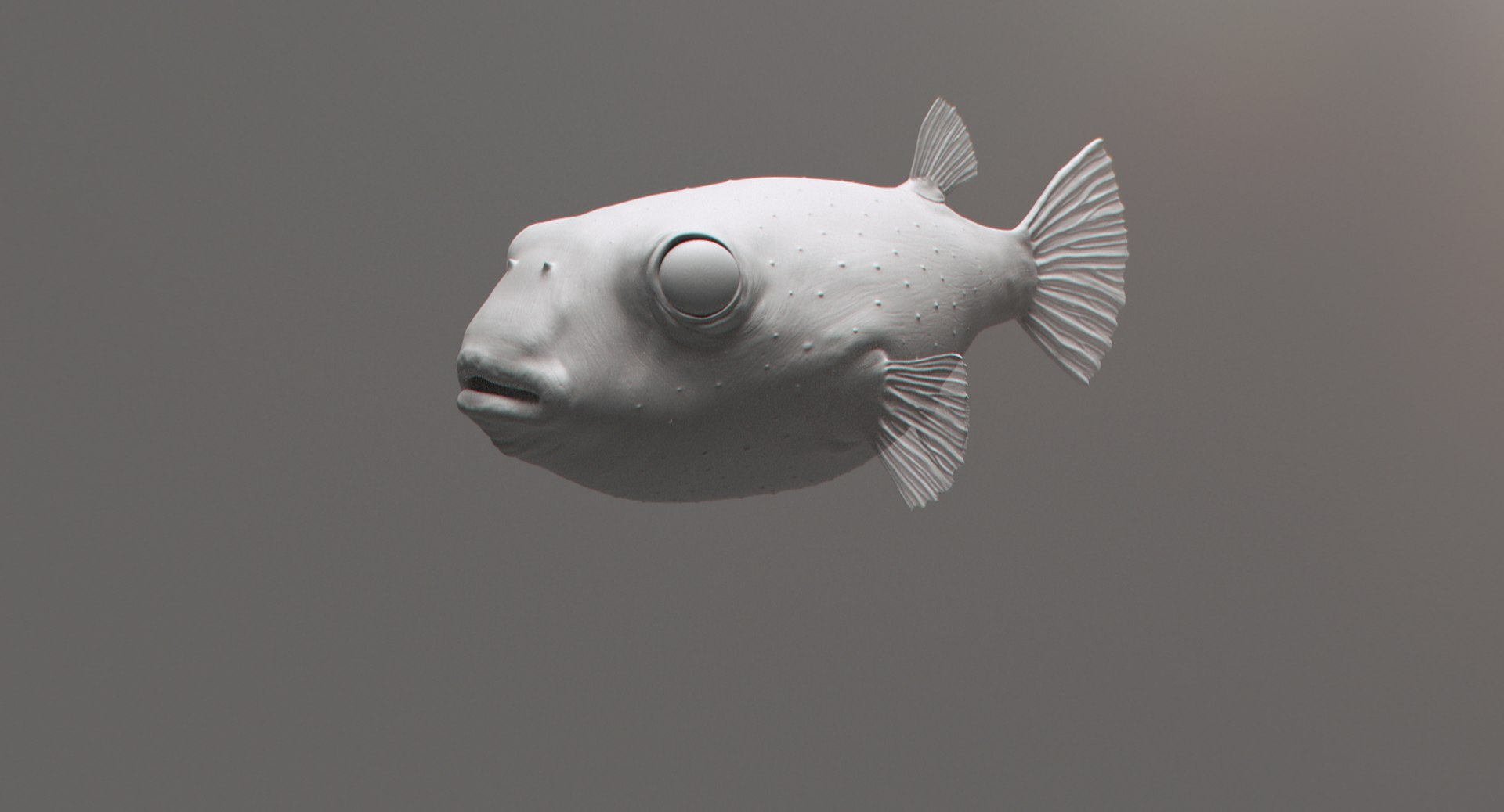 Puffer Fish 3D Model - TurboSquid 1312577