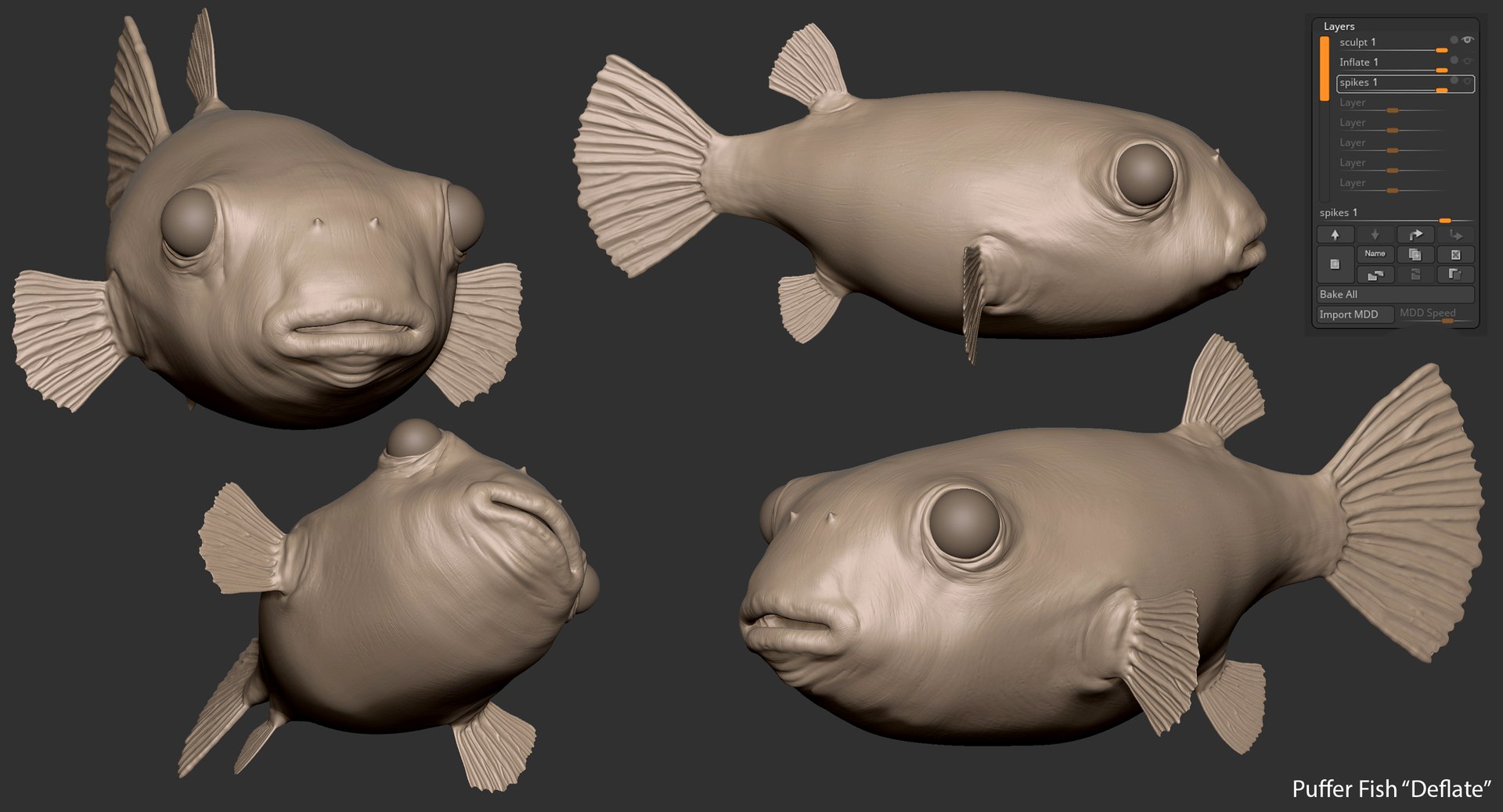 Puffer fish 3D model - TurboSquid 1312577