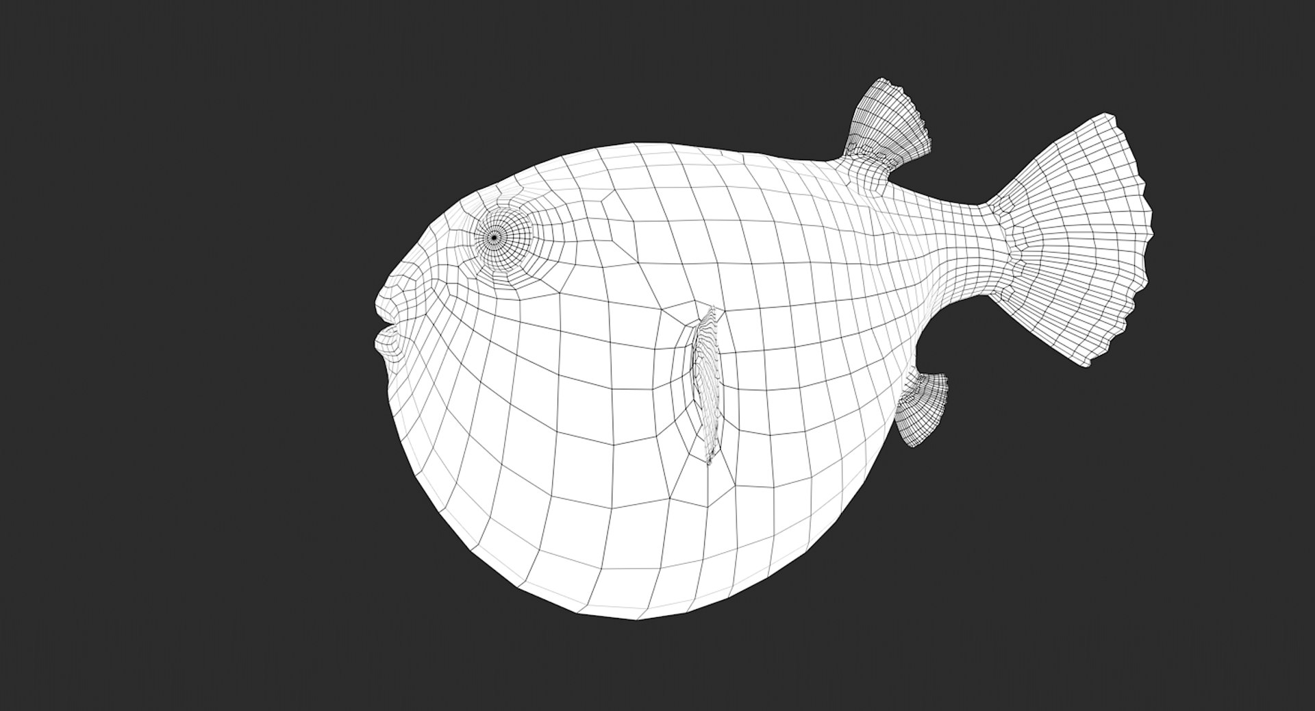 Puffer Fish 3D Model - TurboSquid 1312577