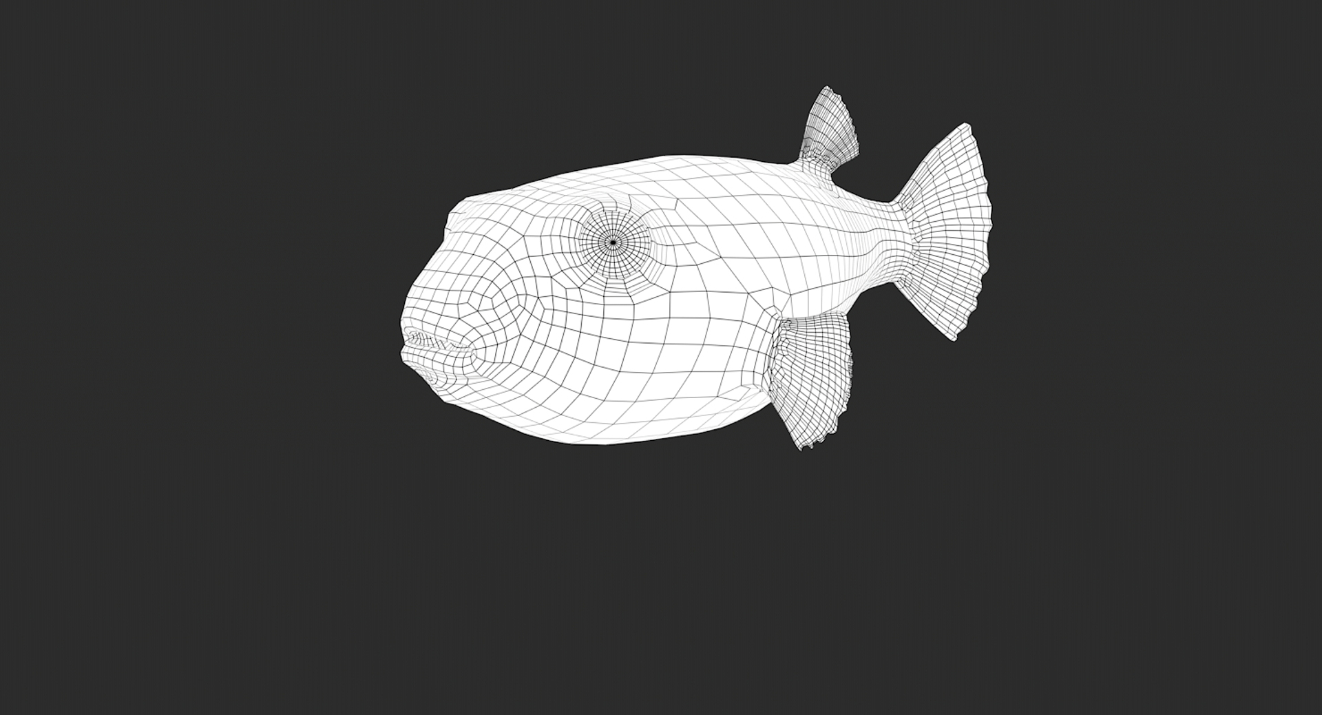Puffer Fish 3D Model - TurboSquid 1312577