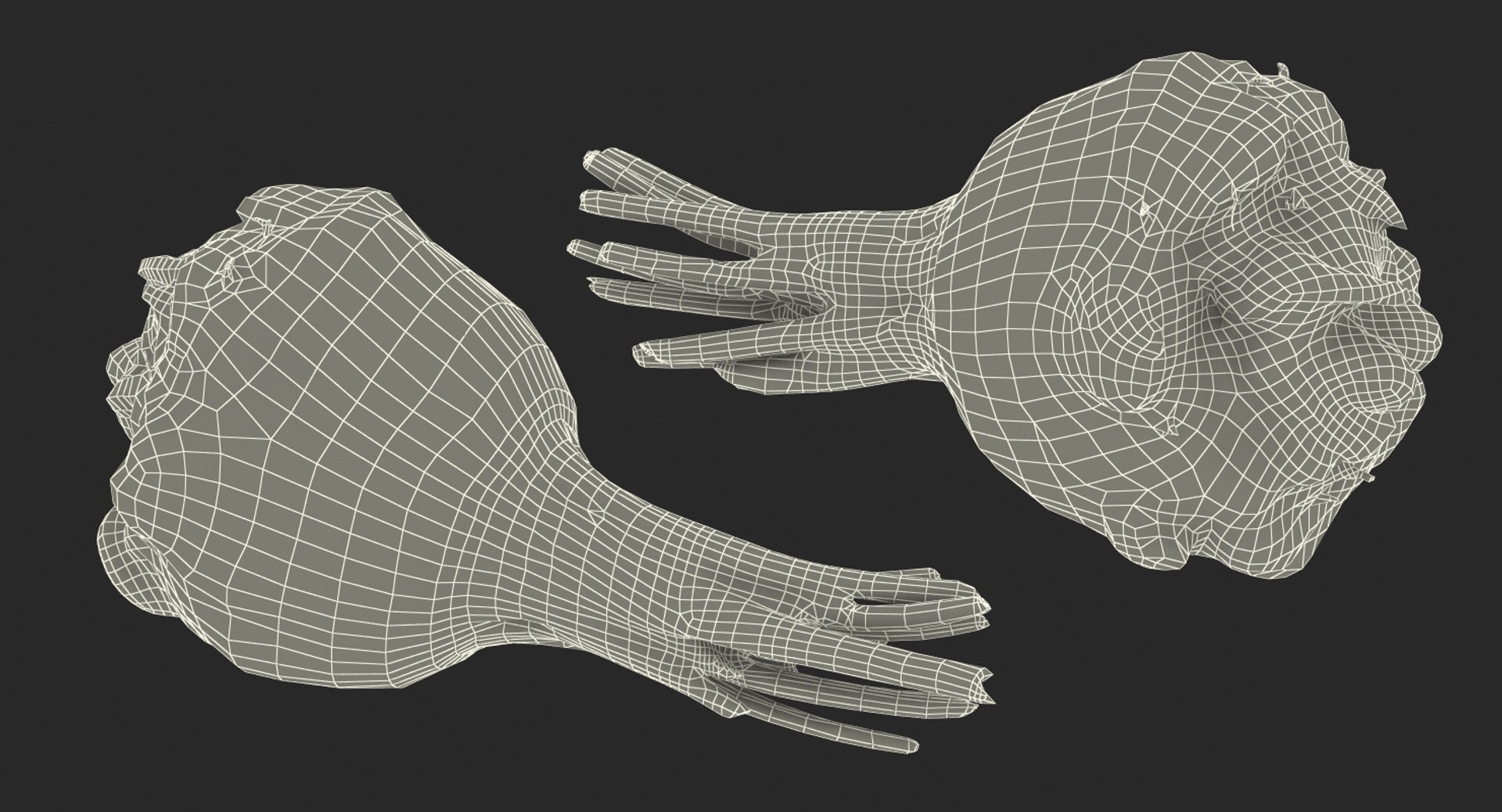 3D Celery Root Model | 1144437 | TurboSquid