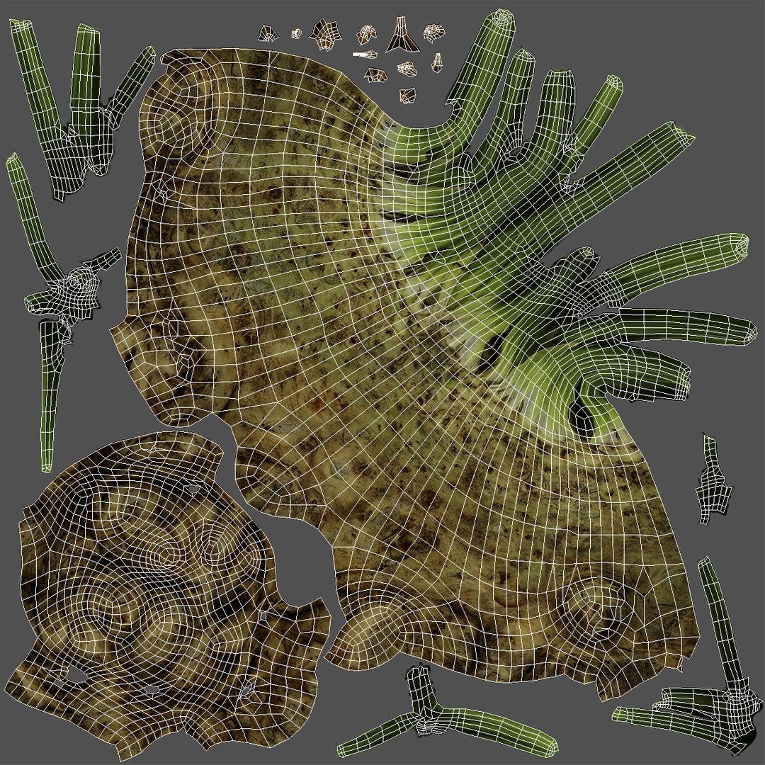 3D Celery Root Model | 1144437 | TurboSquid